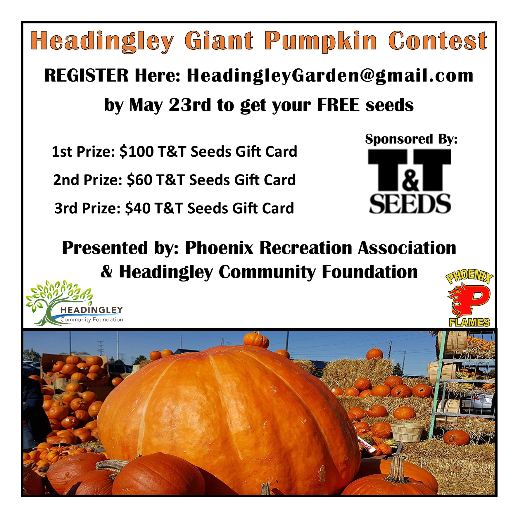 Headingley Giant Pumpkin Contest | Phoenix Recreation Association